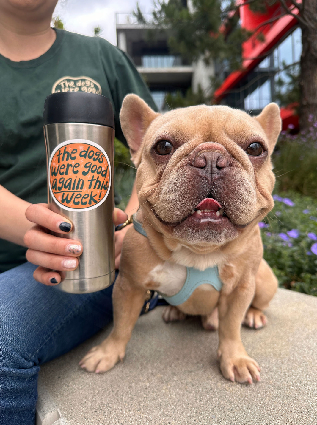 Collectibles – WeRateDogs